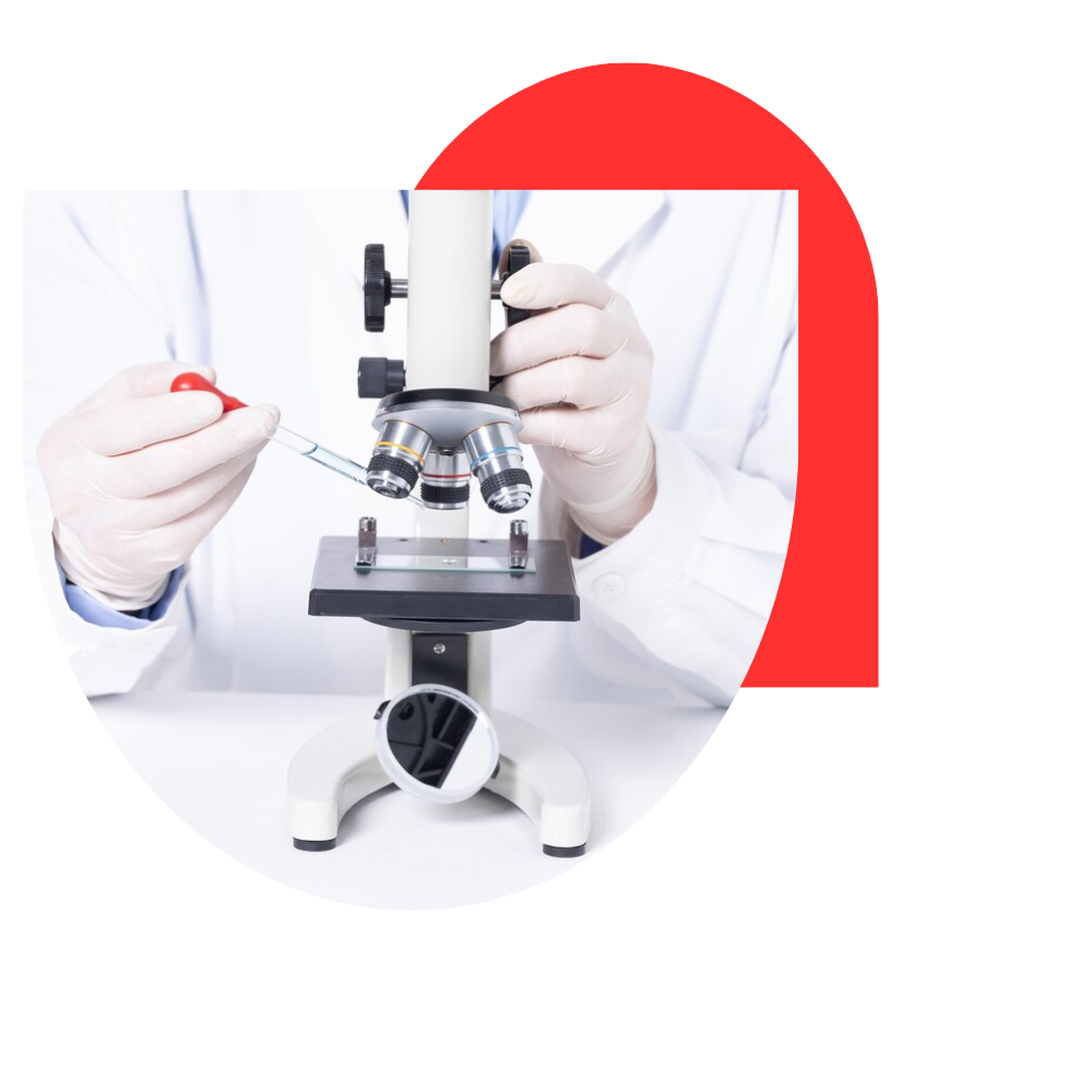 Research & Development – Aesthetic Connection